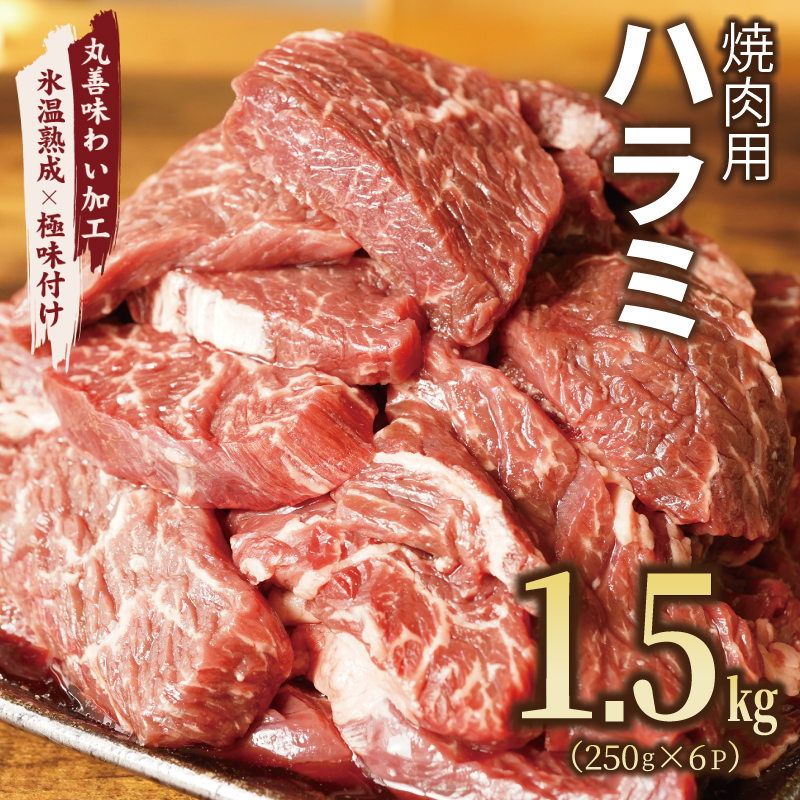 【氷温熟成×極味付け】牛肉 ハラミ 1.5kg（250g×6） | お礼の品をさがす | 泉佐野市ふるさと納税特設サイト「さのちょく」