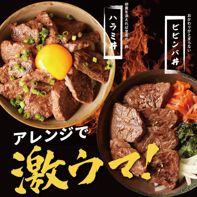 【氷温熟成×極味付け】牛肉 ハラミ 1.5kg（250g×6） | お礼の品をさがす | 泉佐野市ふるさと納税特設サイト「さのちょく」